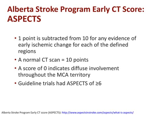 Tools For Patient Selection for Mechanical Clot Retrieval in Ischemic ...