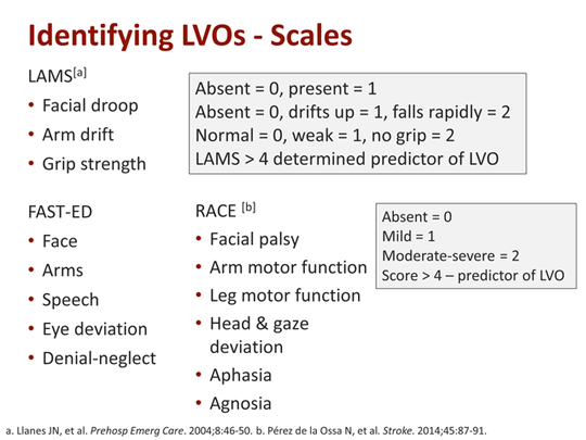 Tools For Patient Selection for Mechanical Clot Retrieval in Ischemic ...