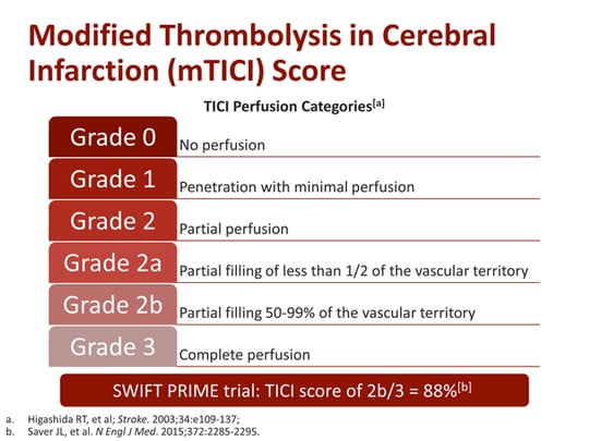 Tools For Patient Selection for Mechanical Clot Retrieval in Ischemic ...