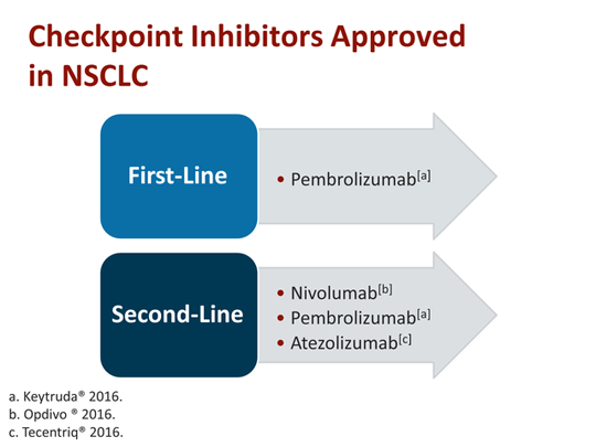The Nurse View: Practice Pearls in the Use of Immune Checkpoint ...