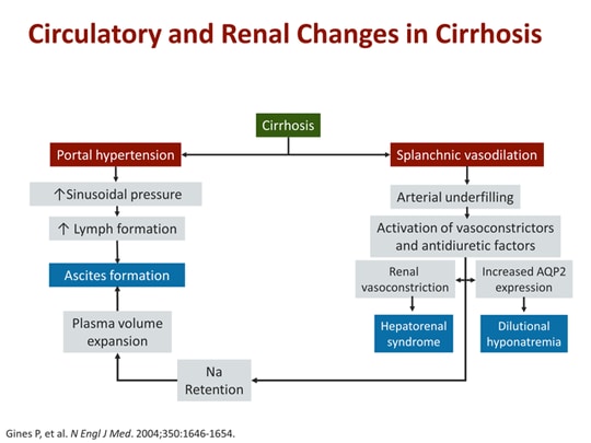 Hepatorenal Syndrome: Perspectives on Diagnosis and Treatment (Transcript)