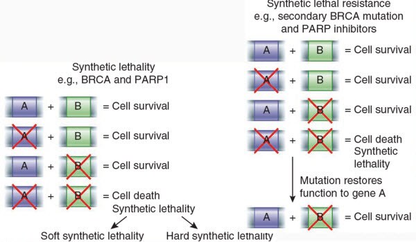 Evolving Therapeutic Strategies in Metastatic Breast Cancer