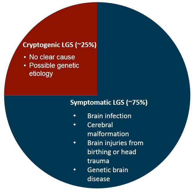 Case-Based Approaches to the Management of LGS in Clinical Practice