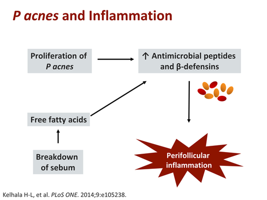 The ABCs of Nitric Oxide in the Skin (Transcript)