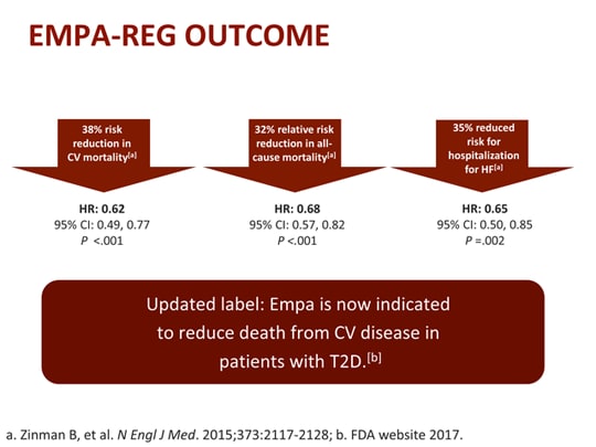 Oral Combination Therapy for T2D: Advances and Lessons Learned for the ...