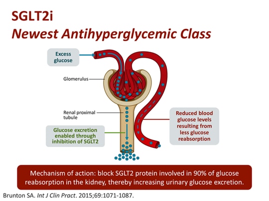 Oral Combination Therapy for T2D: Advances and Lessons Learned for the ...