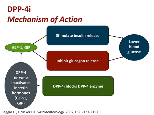 Oral Combination Therapy for T2D: Advances and Lessons Learned for the ...