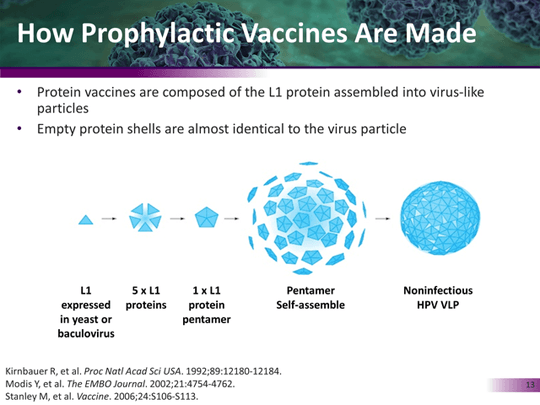 The Story of HPV: Yesterday, Today, and Tomorrow (Transcript)