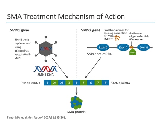 New Horizons for SMA: A Review of Clinical Trial Data and Endpoints ...
