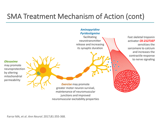 New Horizons for SMA: A Review of Clinical Trial Data and Endpoints ...