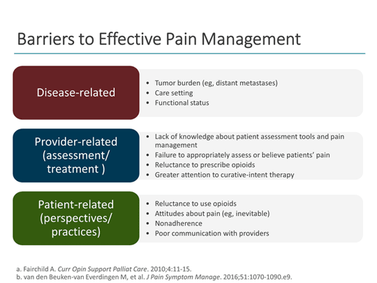 The Cancer Pain Journey: Optimizing Identification and Management ...