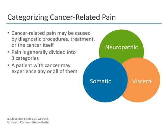 The Cancer Pain Journey: Optimizing Identification and Management ...