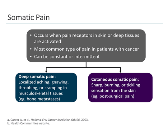 The Cancer Pain Journey: Optimizing Identification and Management ...