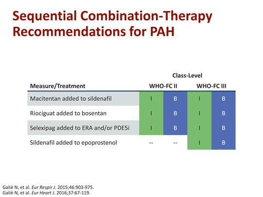 Getting With the PAH Guidelines: What Every Clinician Needs to Know ...