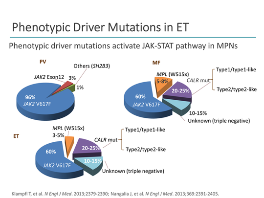 Updates on the Management of Essential Thrombocythemia (Transcript)