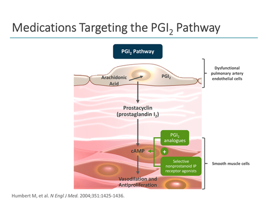 Prostacyclin Pathway Agents in Action: Practical Strategies and ...