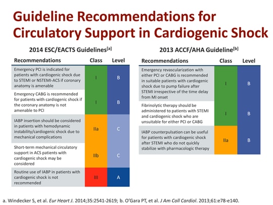 Cardiogenic Shock: Time to Improve Outcomes? (Transcript)