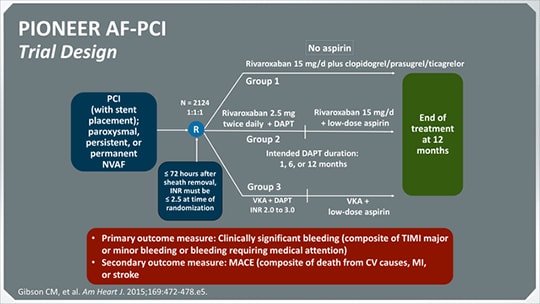 Atrial Fibrillation and PCI: What Do the Latest Data Suggest? (Transcript)