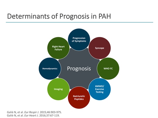 What's New in PAH? Therapeutic Concepts and Implications for Clinical ...