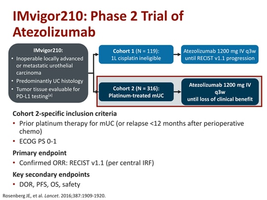 A New Path Forward? Immune Checkpoint Inhibitors in Bladder Cancer ...