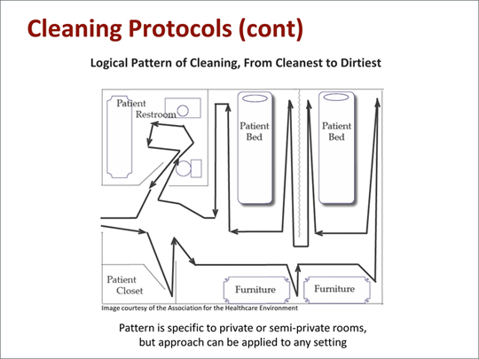 Environmental Services and Infection Prevention
