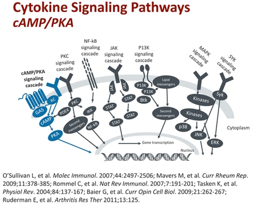 Effective Management of Psoriatic Arthritis: Tailoring Treatments (Transcript)