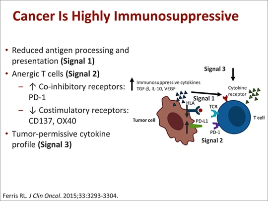 The Brain, Immune Privilege, and Immunotherapy: Proof in Concept ...