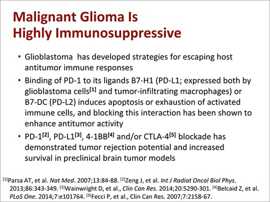 The Brain, Immune Privilege, and Immunotherapy: Proof in Concept ...
