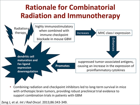 The Brain, Immune Privilege, and Immunotherapy: Proof in Concept ...