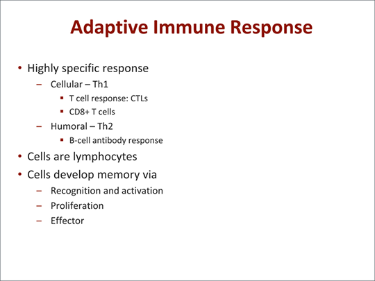 The Brain, Immune Privilege, and Immunotherapy: Proof in Concept ...