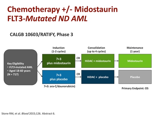 AML Research Focus: Exploring New Treatment Options (Transcript)