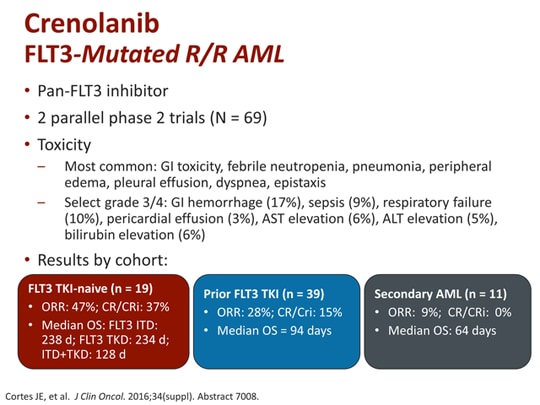 AML Research Focus: Exploring New Treatment Options (Transcript)