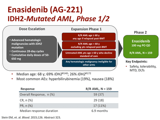 AML Research Focus: Exploring New Treatment Options (Transcript)