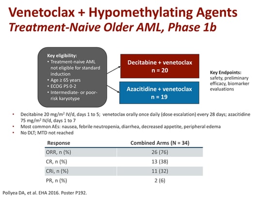 AML Research Focus: Exploring New Treatment Options (Transcript)