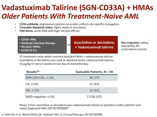 AML Research Focus: Exploring New Treatment Options (Transcript)