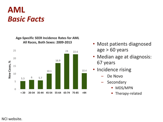 AML Research Focus: Exploring New Treatment Options (Transcript)