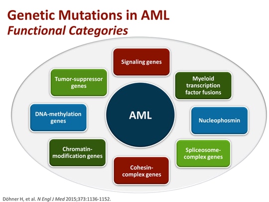 AML Research Focus: Exploring New Treatment Options (Transcript)