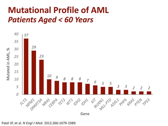 AML Research Focus: Exploring New Treatment Options (Transcript)