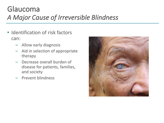 Glaucoma: Pearls for Screening, Diagnosis, and Comprehensive Management ...