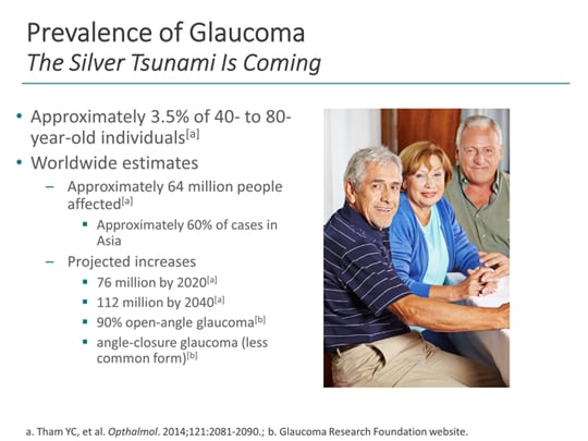 Glaucoma: Pearls for Screening, Diagnosis, and Comprehensive Management ...