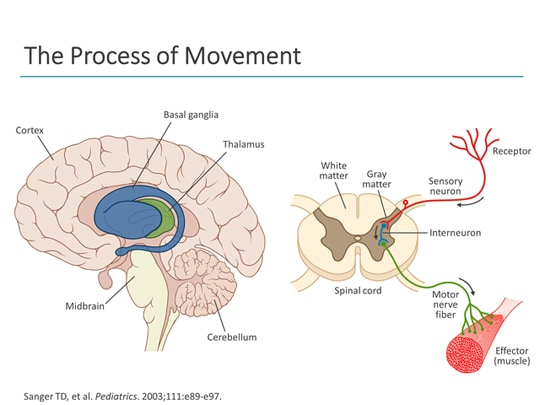 Exploring Strategies for Recognition and Management of Lower Limb ...