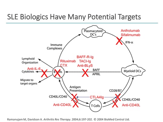 Concepts in Systemic Lupus Erythematosus: From Pathophysiology to Practice