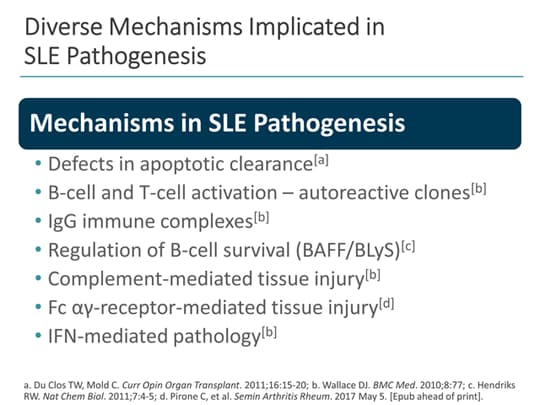 Concepts in Systemic Lupus Erythematosus: From Pathophysiology to Practice