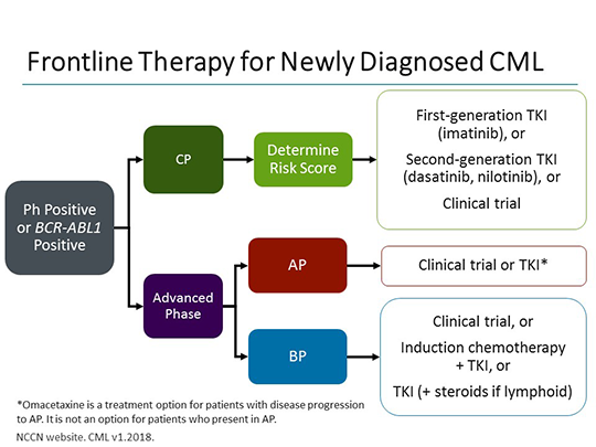 Chronic Myeloid Leukemia Challenge: Treating CML After TKI Failure