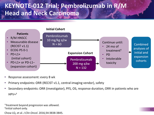 Immune-Mediated Treatment in Head and Neck Cancer: Transforming Care ...