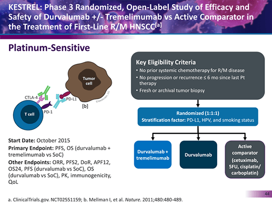 Immune-Mediated Treatment in Head and Neck Cancer: Transforming Care ...