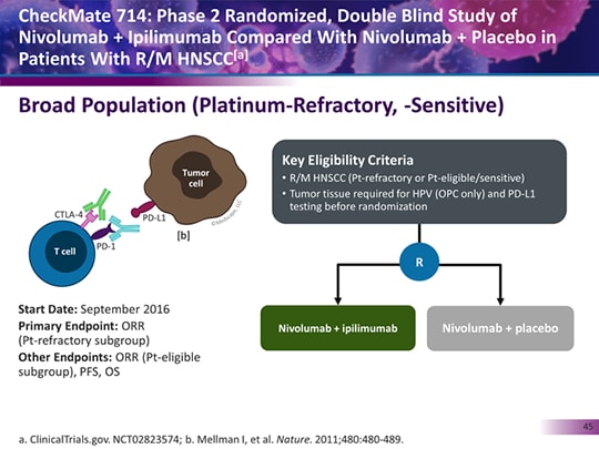 Immune-Mediated Treatment in Head and Neck Cancer: Transforming Care ...