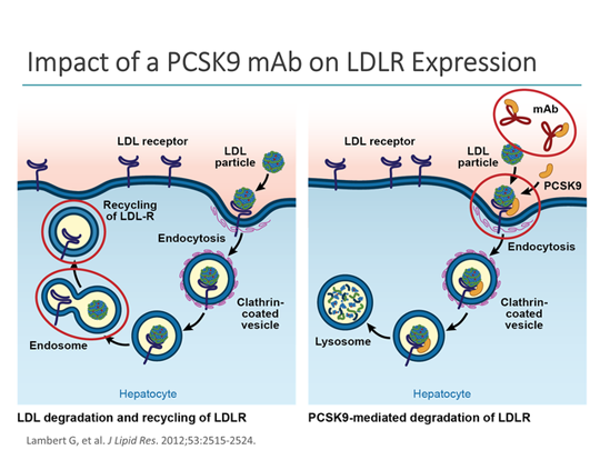 An Update on PCSK9 Inhibitors: Cost, CV Outcomes, and Clinical ...