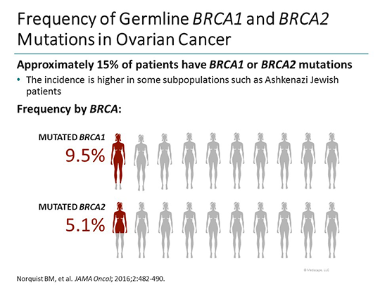 State of the Art in BRCA-Mutated Ovarian Cancer: Lessons for Practitioners