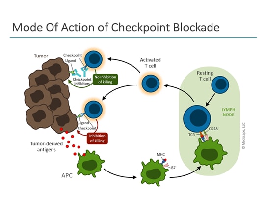 Immunotherapies: Key Considerations in the Identification and ...